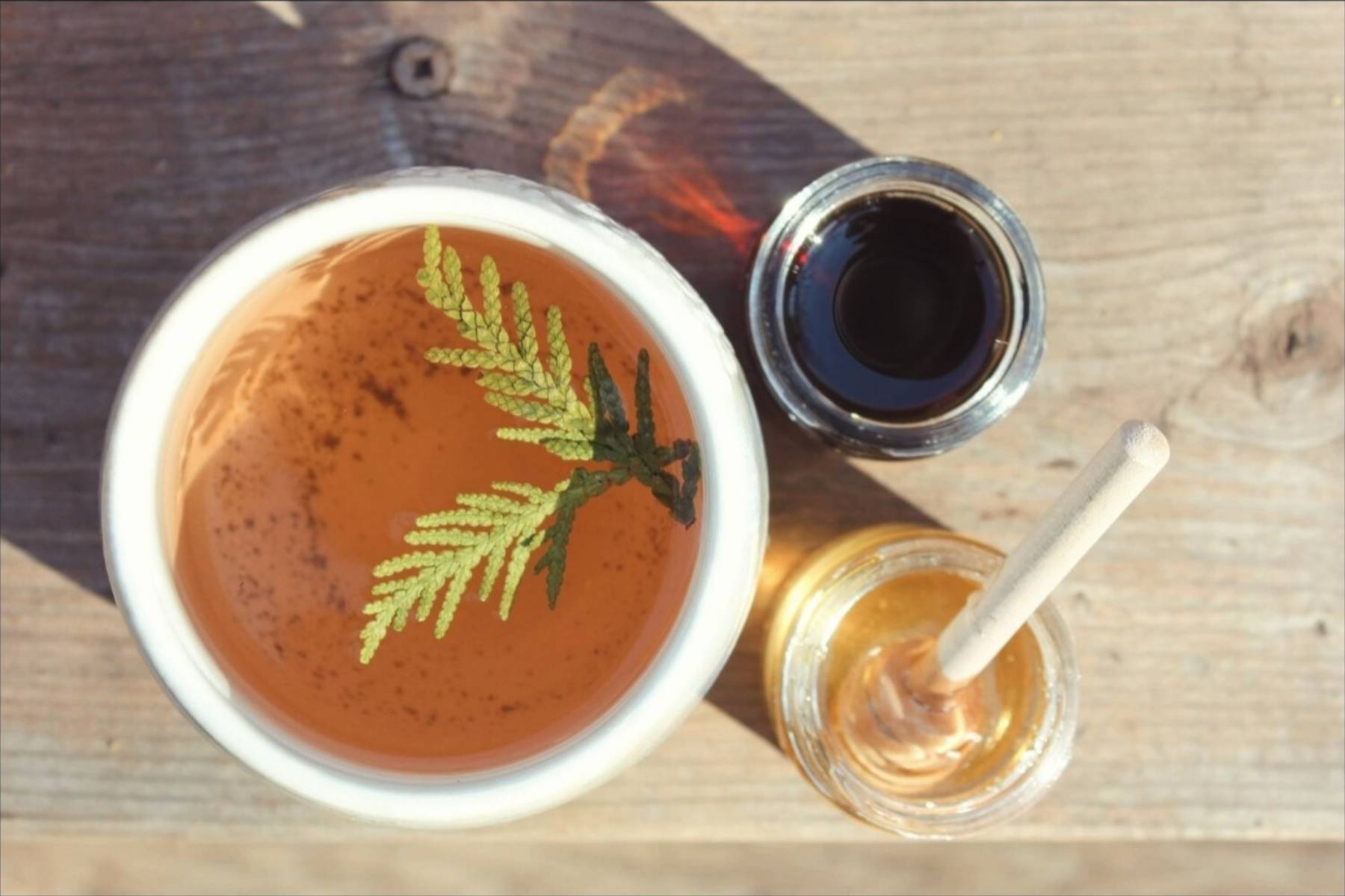 Cedar Tea and Wellness - JUNIOR - Harbourfront Centre