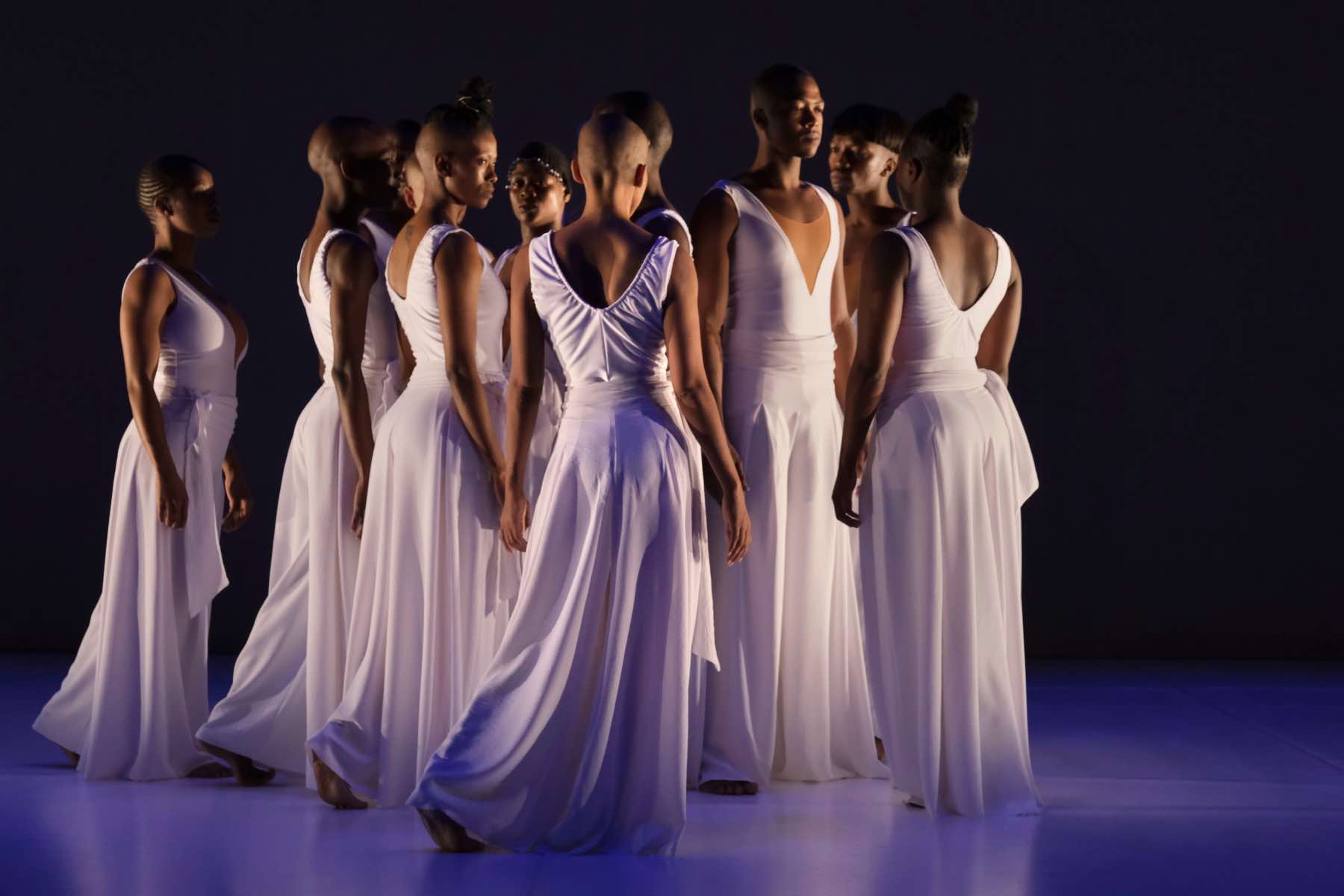 The Sacrifice - Torque - Harbourfront Centre