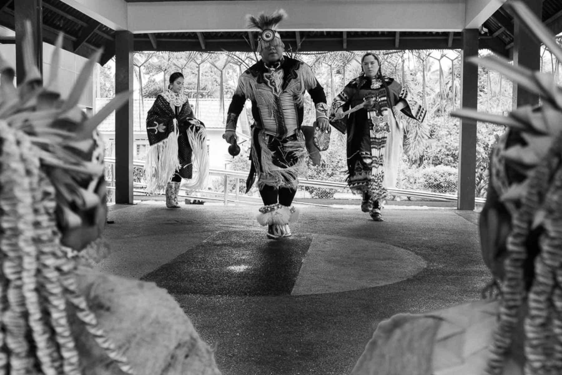 Odawa Wiingushk - Harbourfront Centre