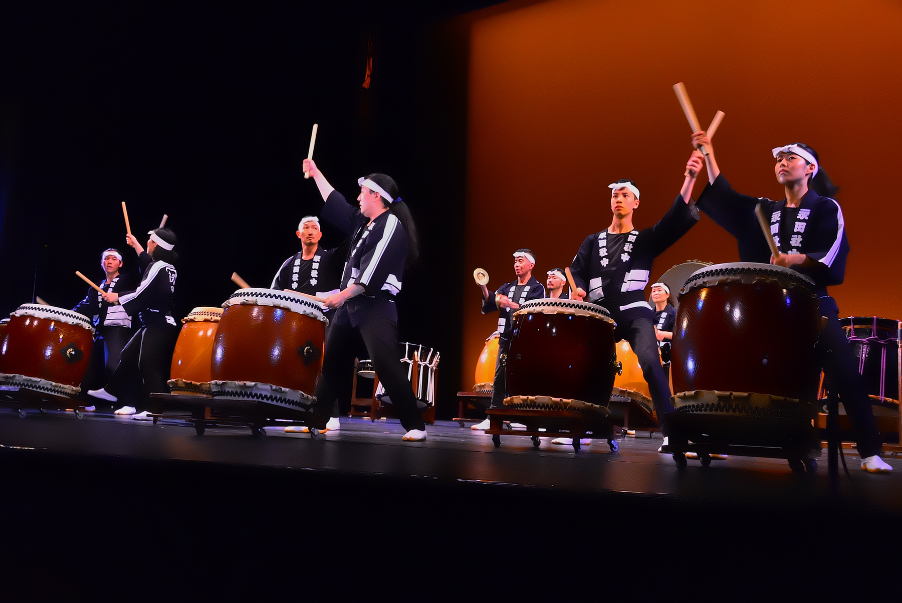 Nagata Shachu and Haneum - Harbourfront Centre