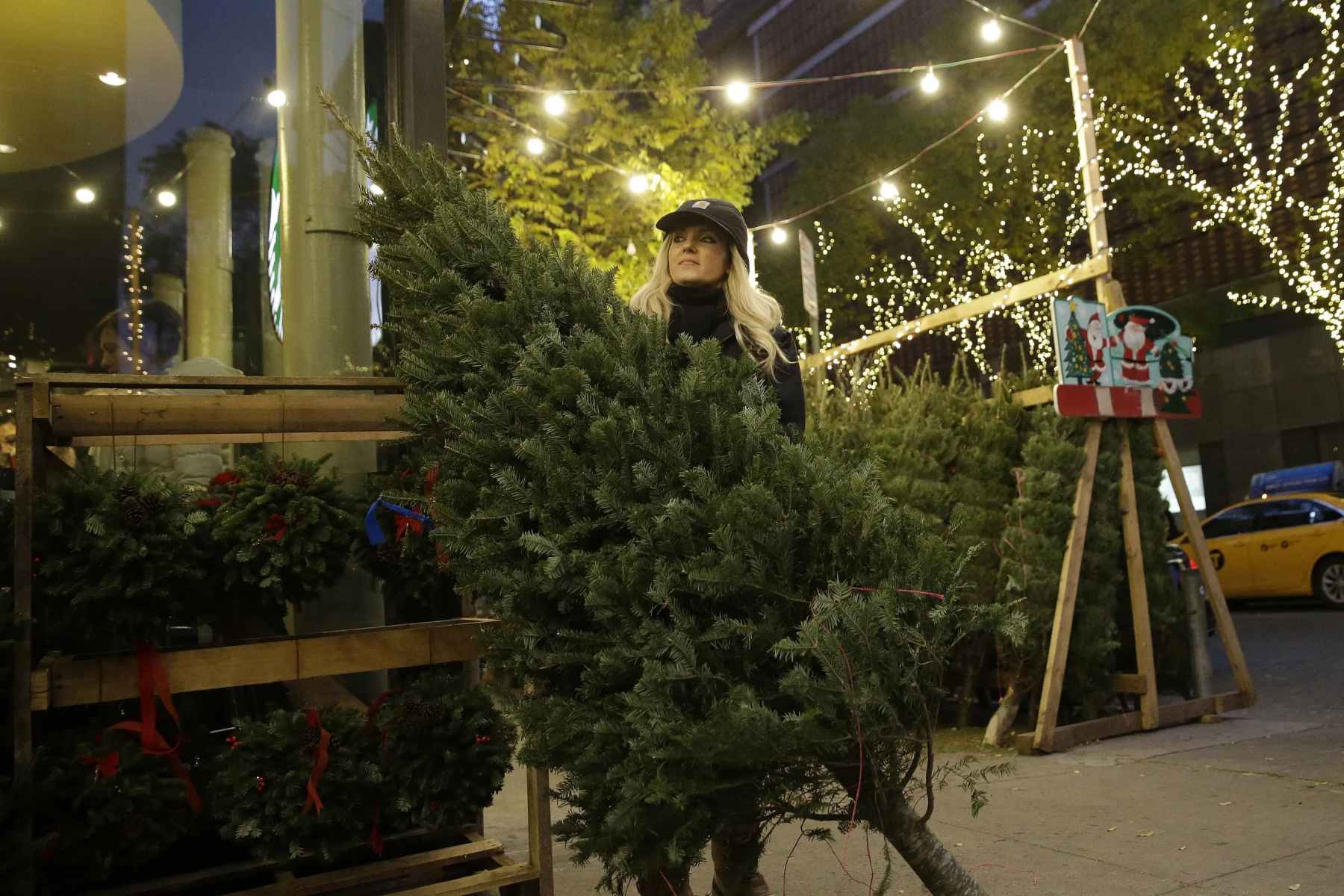 Winterfest Toronto: Urban Tree Lot - Harbourfront Centre