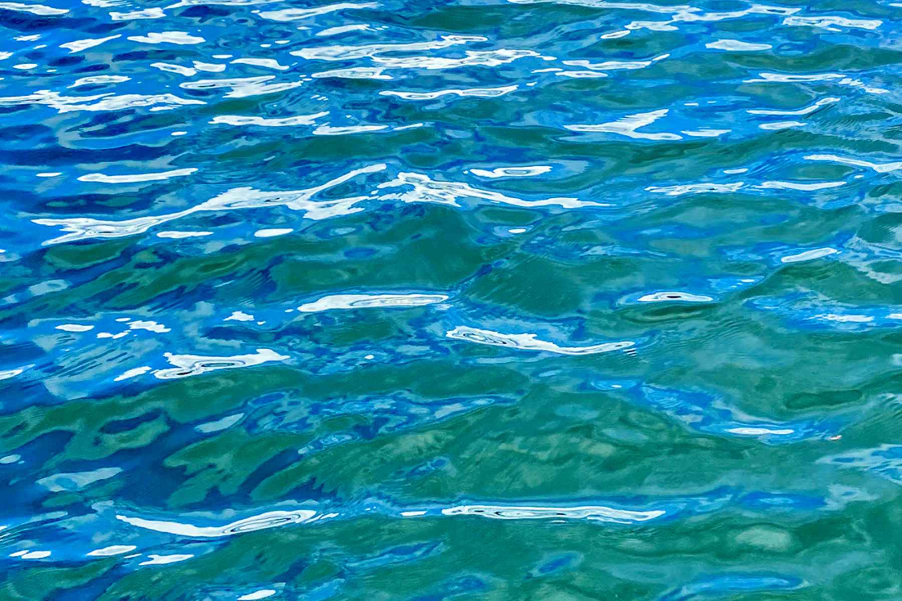 Objects for Adaptation and Resilience - Harbourfront Centre