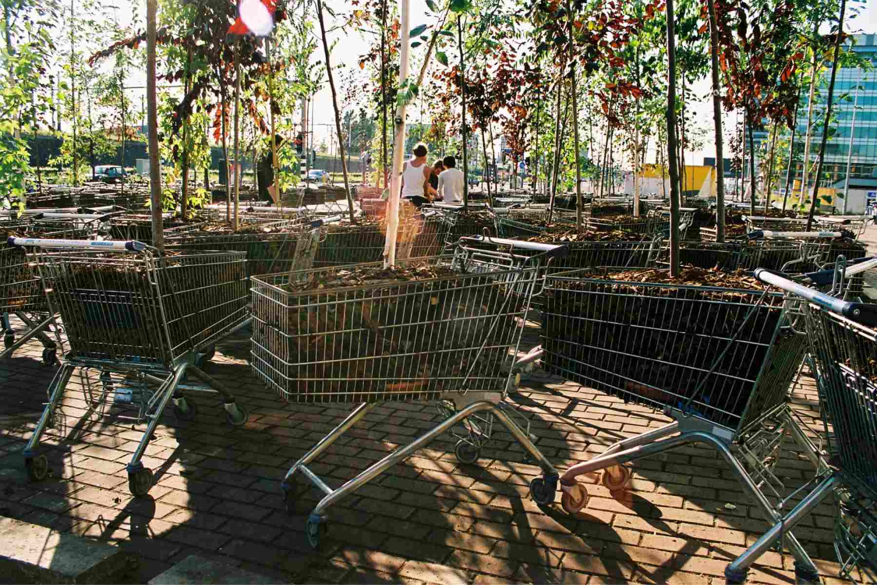 Moving Forest - Harbourfront Centre