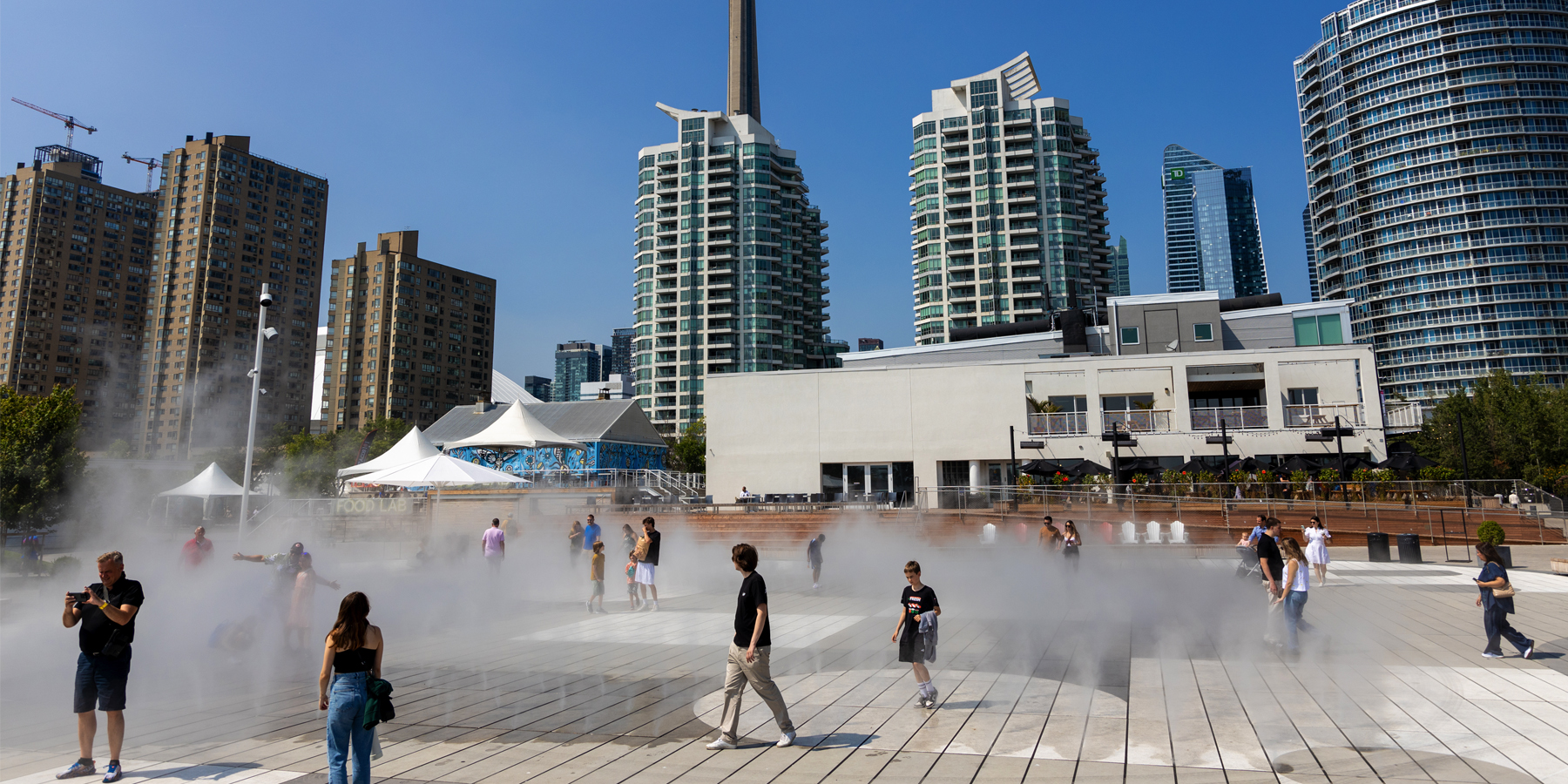 What's On - Harbourfront Centre