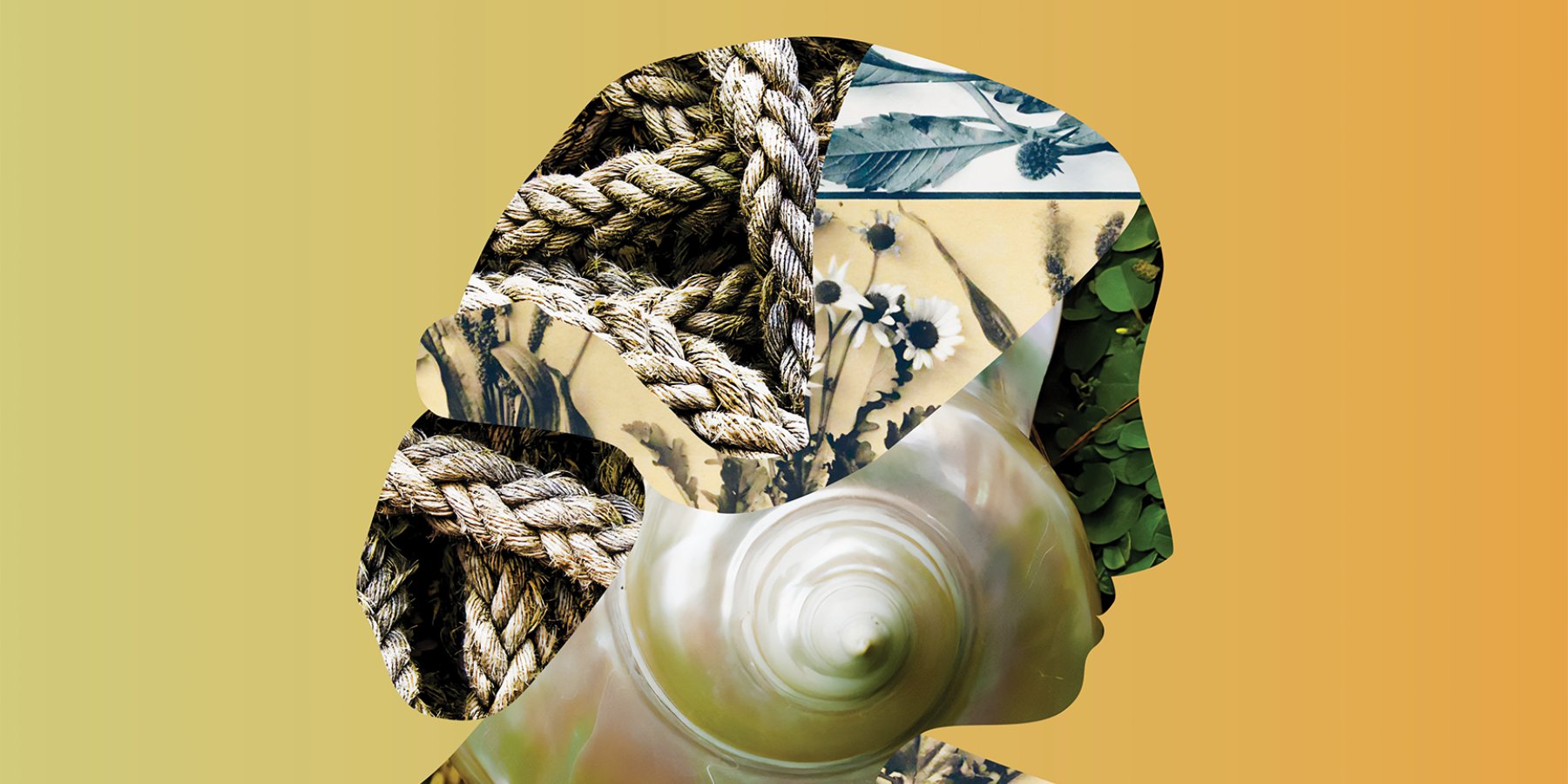 Fluid Fossils - Harbourfront Centre